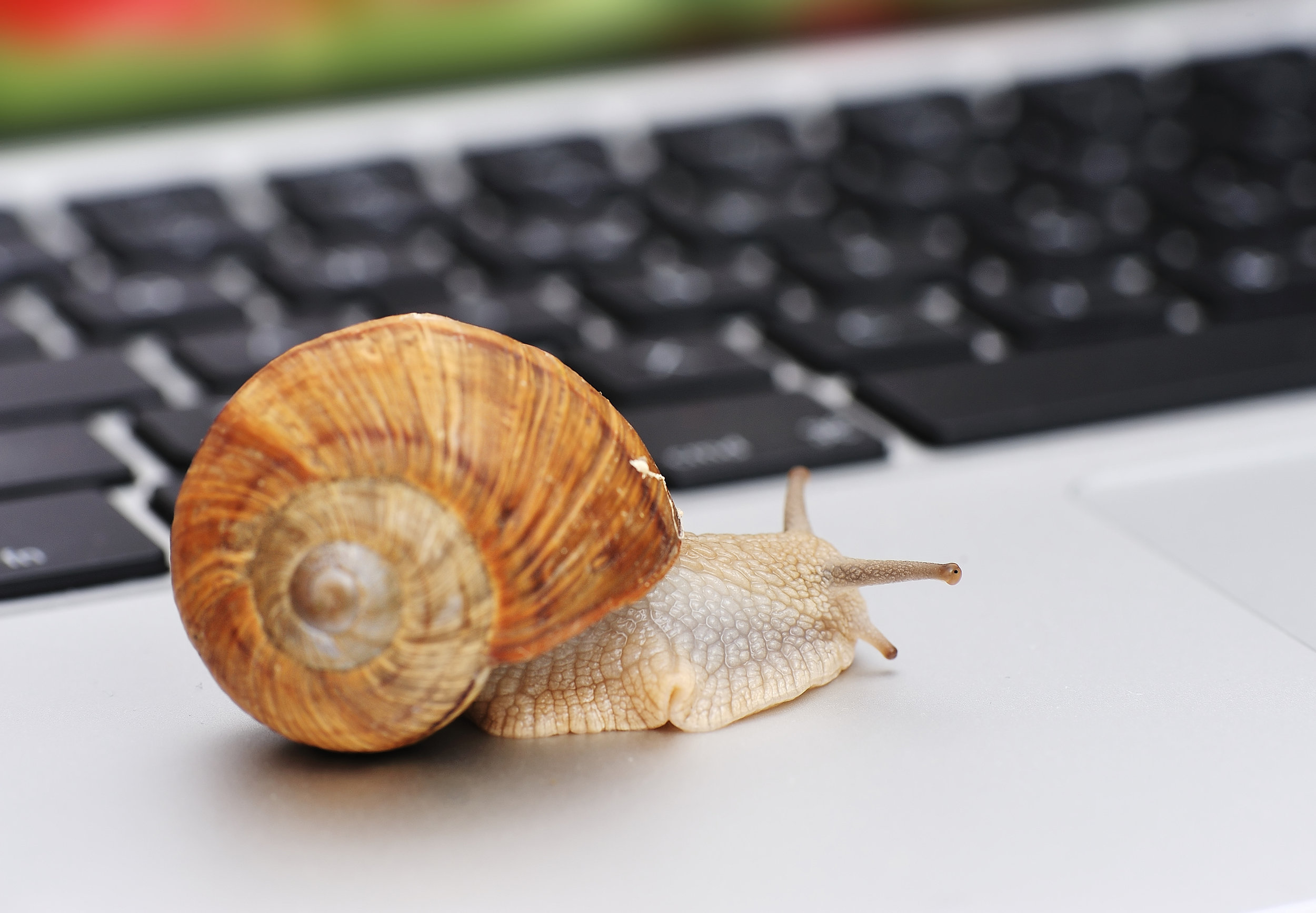 Tips for Speeding Up a Sluggish Computer That’s Trashing Your Productivity Tips for Speeding Up a Sluggish Computer That’s Trashing Your Productivity